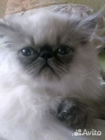 Помылась, причесалась, жду вас