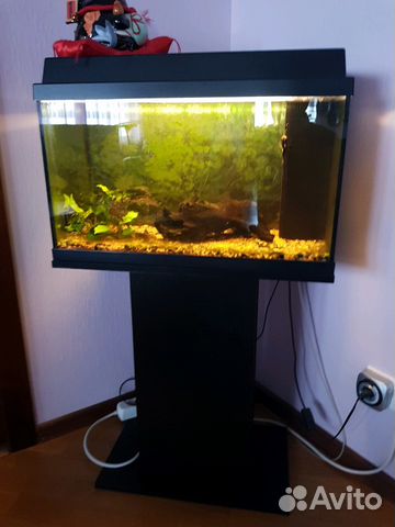 Аквариум Juwel 80