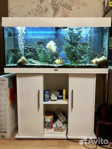 Аквариум Juwel Rio 180 л со всем содержимым