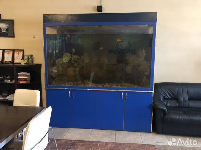 Аквариум