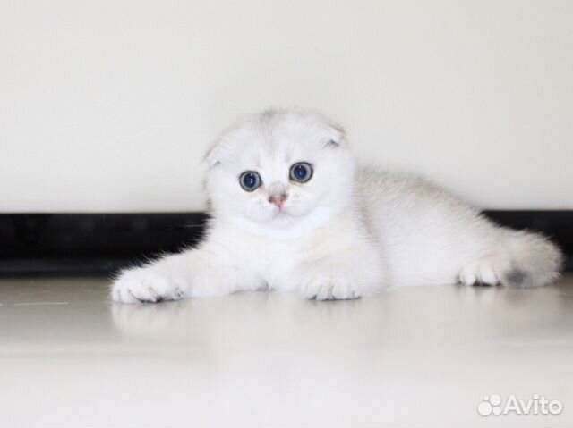 Малышка с зелёными глазками