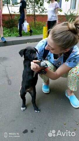 Милый пушистик