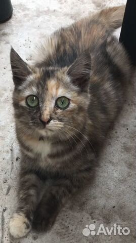 Зеленоглазка и просто чудо девочка 2,5 мес