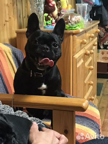 Ищем невесту