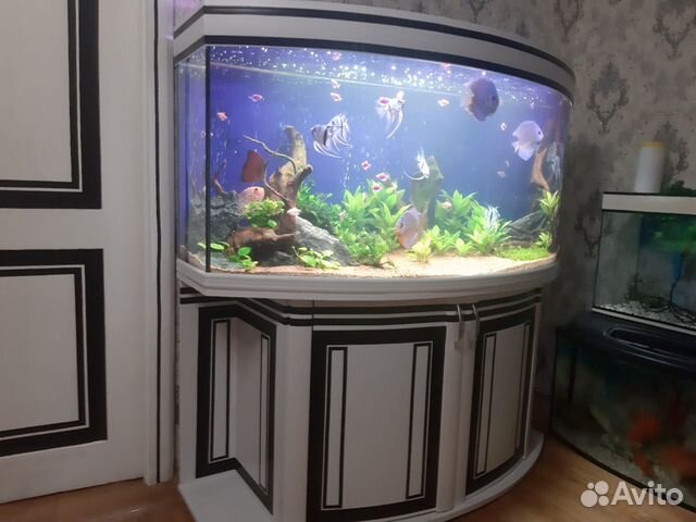 Аквариум-350л