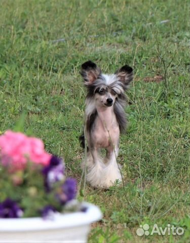 Очаровательный мальчик