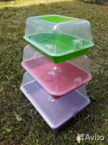 Террариум / Дюна /Контейнер