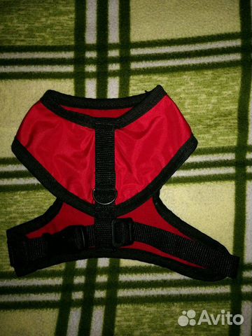 Новая шлейка для маленькой собачки