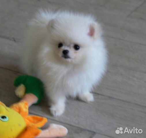 Крошечка - хаврошечка