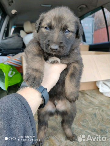 Маленький бутуз 1 месяц