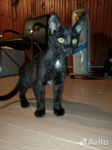 Агат и Агра