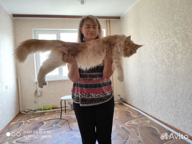Новогодняя акция