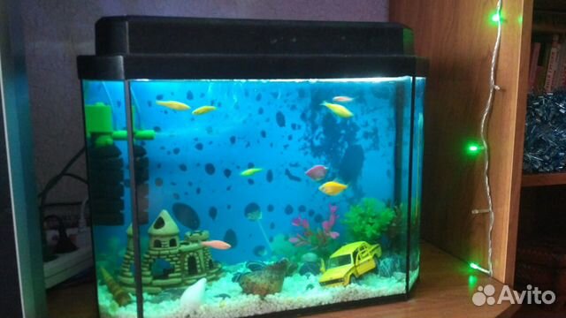 Не большой аквариум, со всем содержимым и его обит