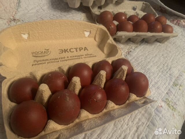 Маран ухейилюй Падуан