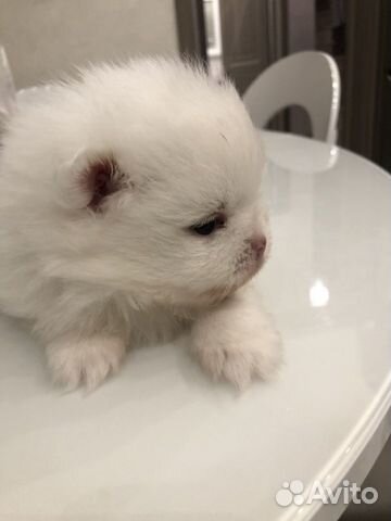 Мальчик с пальчик