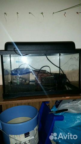 Аквариум, черепашник 45л