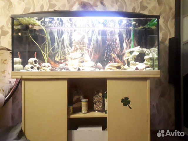 Аквариум