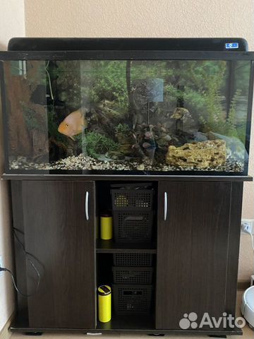 Аквариум с тумбой и рыбками