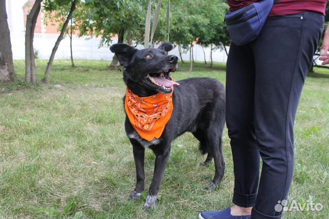 Грант море позитива и оптимизма