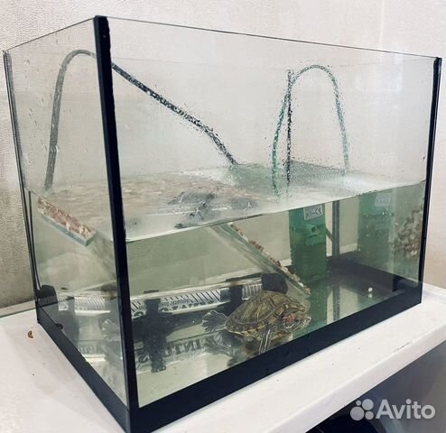 Аквариум для черепах