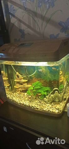 Аквариум jebo 352