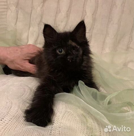 Воздушное, невесомое счастье