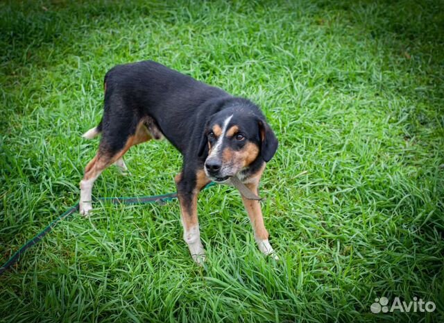 Мальчик из черного поиюта