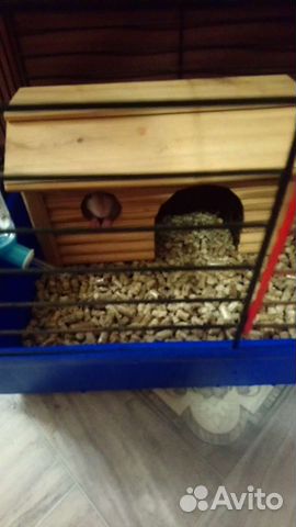 Декоративная крыска