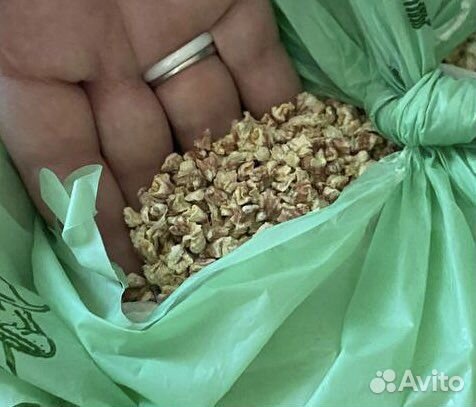 Хомячки и крыски