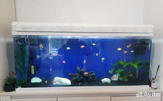 Аквариум