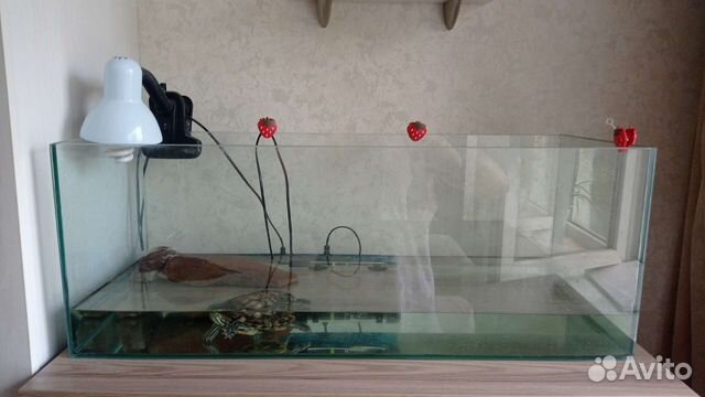 Аквариум и красноухая черепашка