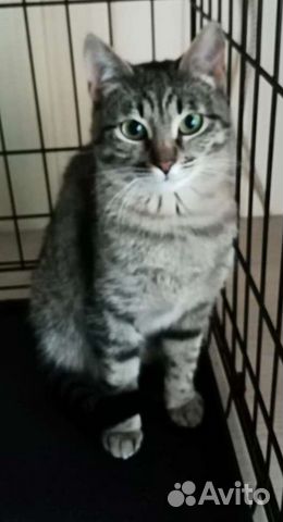 Сонечку спасли из гаражей