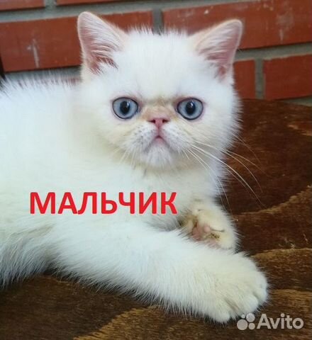 Солнечный лучик
