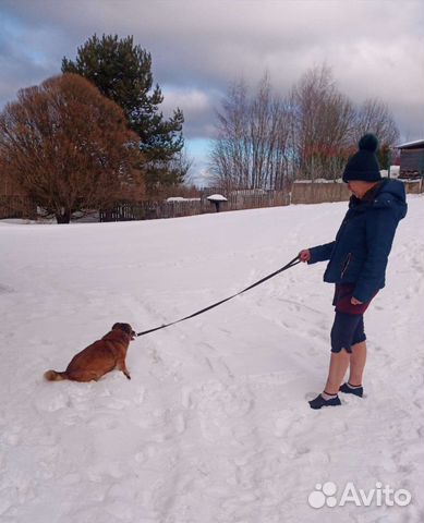 Пуш, 30 см, 5 лет