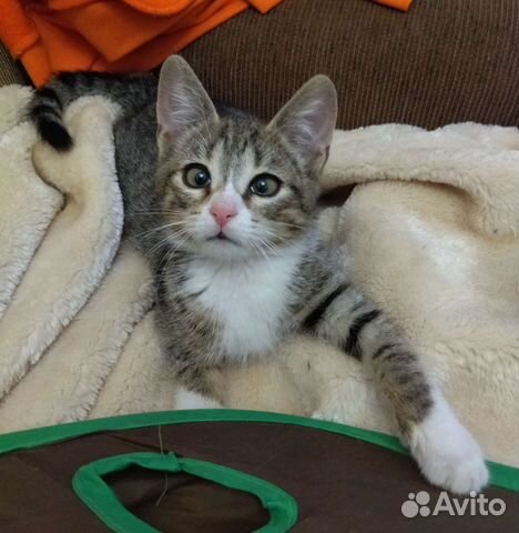 Малыш очень хочет домой