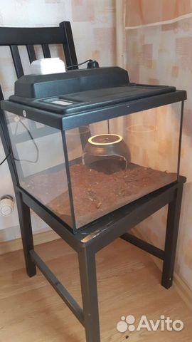 Террариум для рептилий черепах