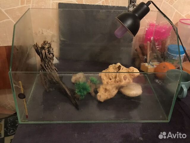 Аквариум для черепахи