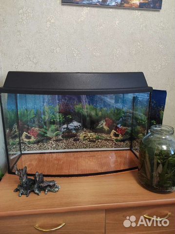 Аквариум 50 литров