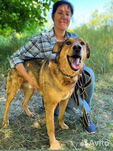 Нежный ласковый умнейший мальчик ищет дом