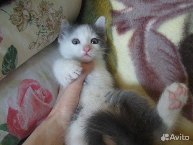 Ищудом