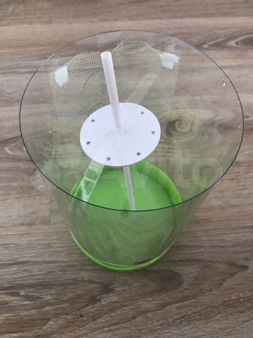 Бабочкарий