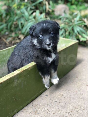 Друг на всю жизнь