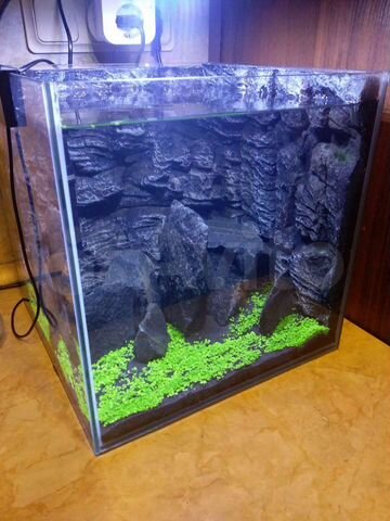 Аквариум (полный комплект для новичка)