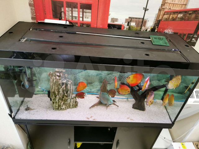 Аквариум 400 литров