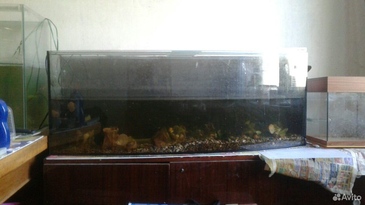 Аквариум